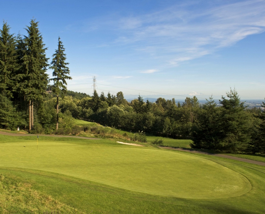 Fine Course (Executive Golf Course) - GreenTee Country Club Westwood ...